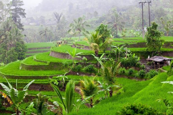 Java (Indonesië) | Plan je reis met deze tips - Reis-Expert.nl