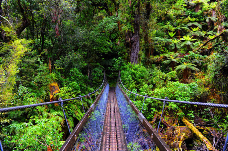 Te Urewera National Park | Een oase van rust - Reis-Expert.nl