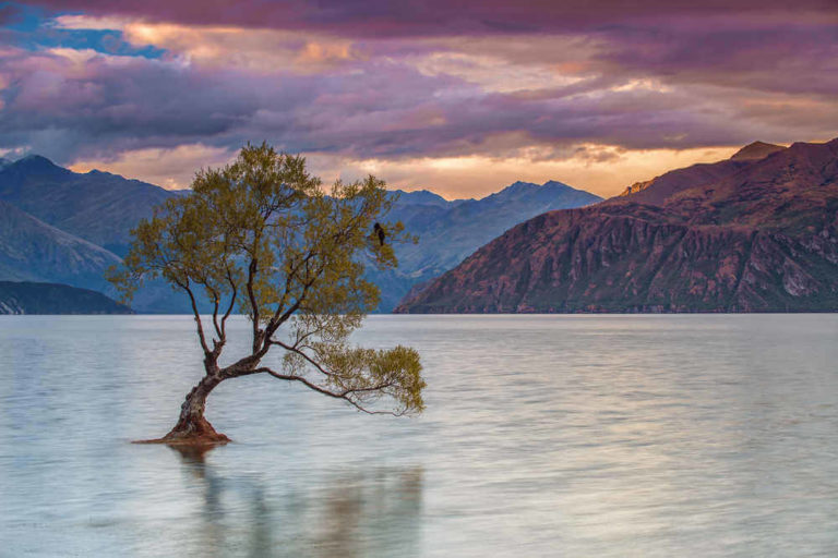 Wanaka | De beste tips + 10x doen in Wanaka - Reis-Expert.nl