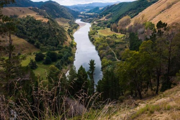 Wanganui National Park | Bekijk onze tips & tricks - Reis-Expert.nl